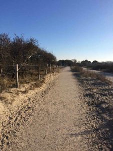 Wandelen geeft rust - Wandel door de straten van Den Haag